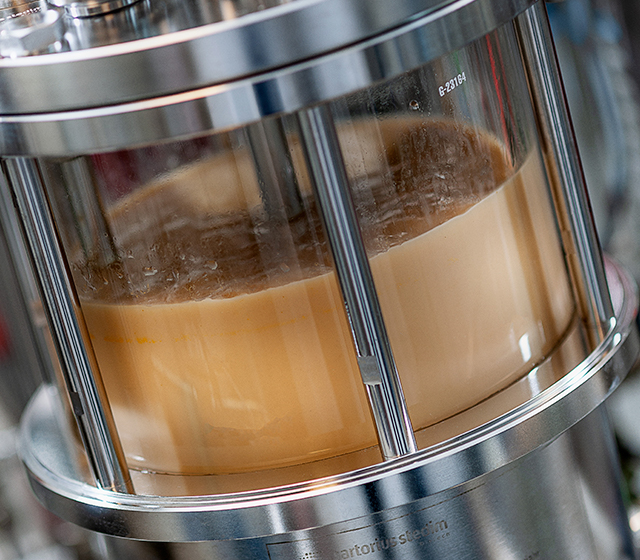 GMP Grade - Working Cell Banks - Master Cell Banks | Eurogentec