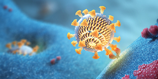 Takyon™ Low ROX Probe 2X MasterMix dTTP