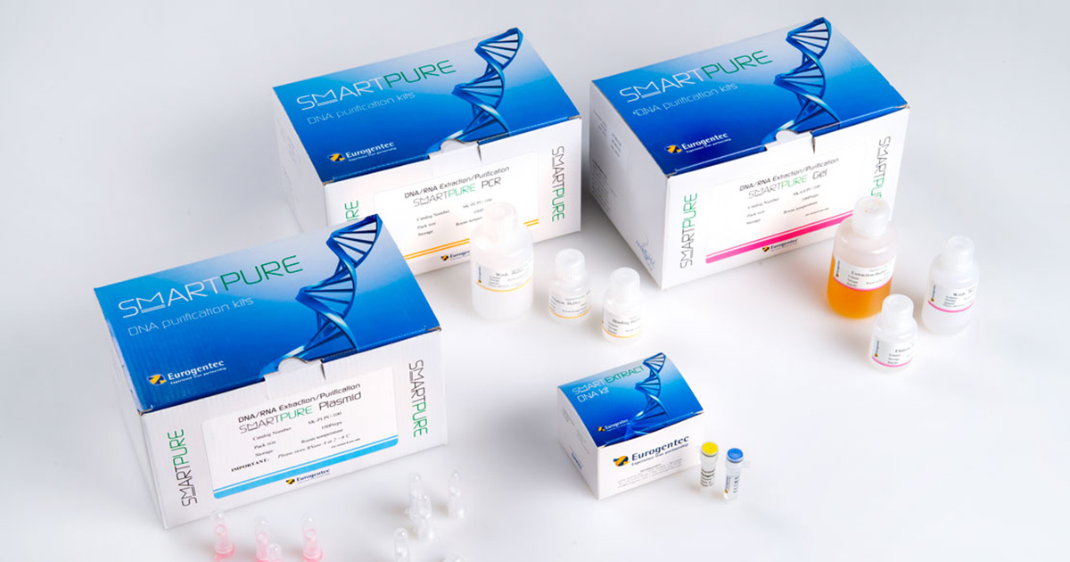 Gene extraction and purification | Eurogentec