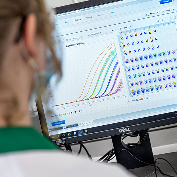Custom MGB probes | License free | Eurogentec