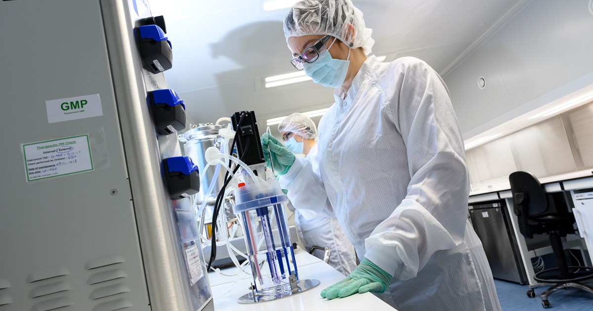 Understanding quality grades in mRNA synthesis: From research grade to GMP