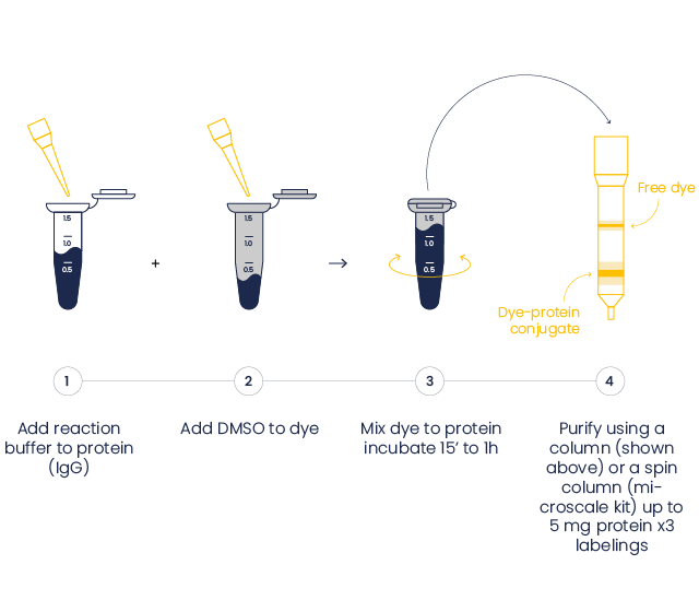 AnaTAg kits | Fluorescent labeling kits | Eurogentec