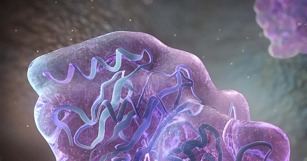 Calibration Standards | Eurogentec