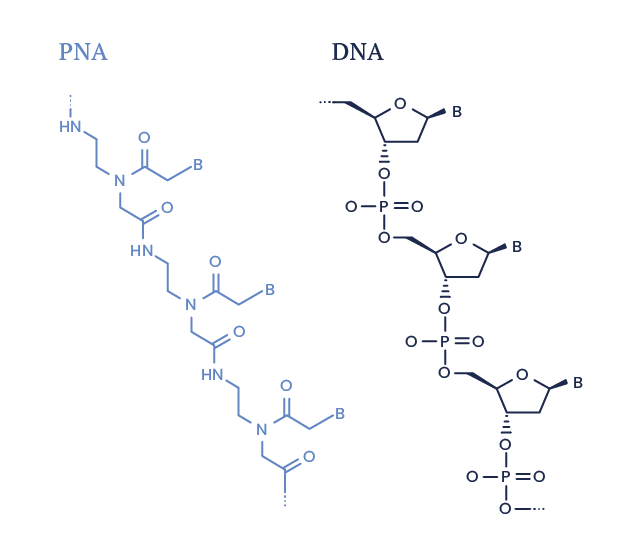 PNA FISH Probes|Catalog Oligo|Eurogentec