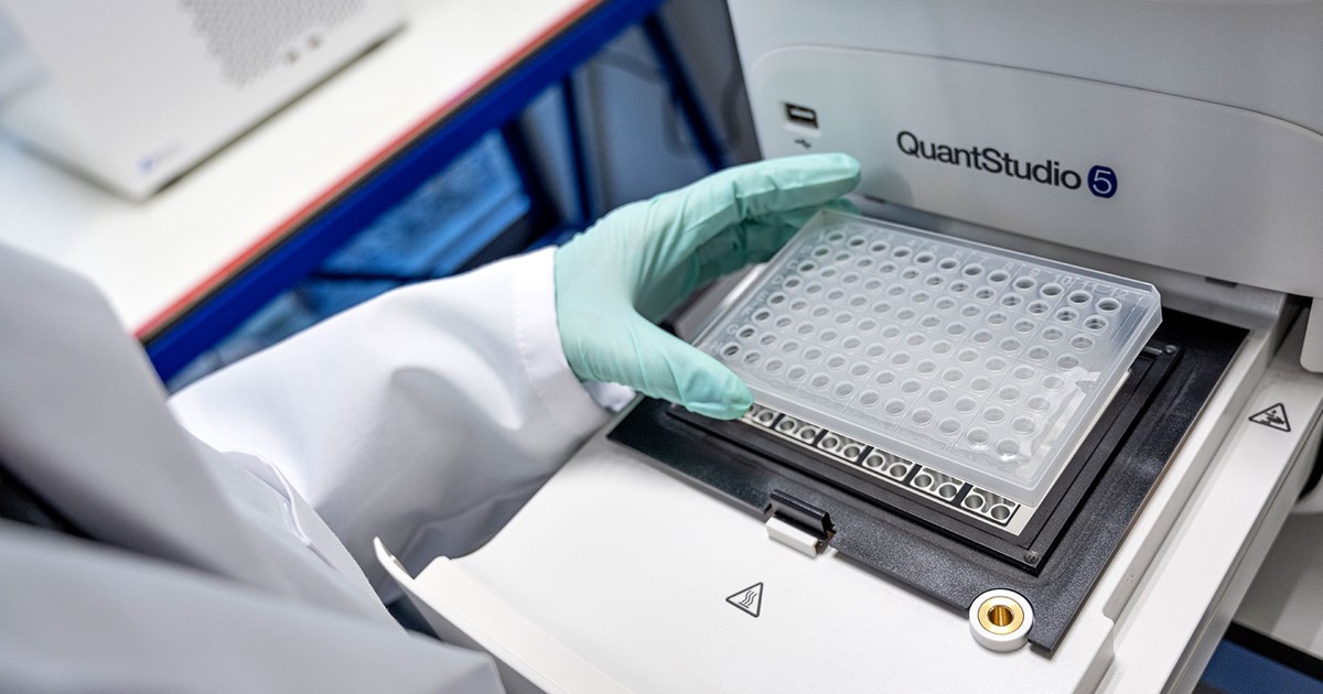qPCR kit for DNA amplification | Takyon Ultra | Eurogentec
