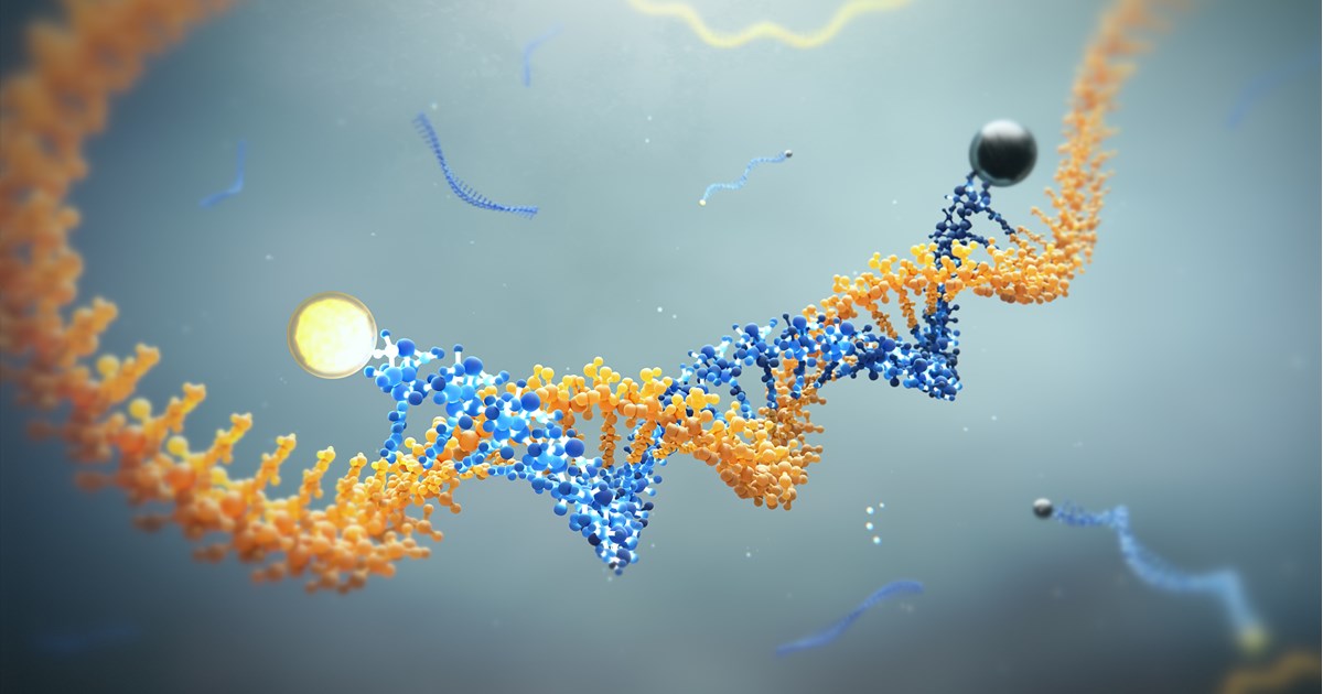 Therapeutic oligos: promising types and their applications