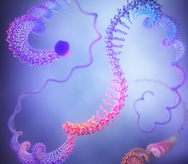 GMP Manufacturing of plasmid, proteins, oligonucleotides and mRNA