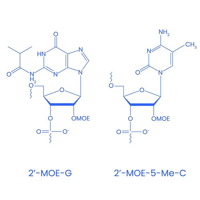 2' O-MOE RNA Base Phosphorothioate Linkage - 1 base with PTO Linkage