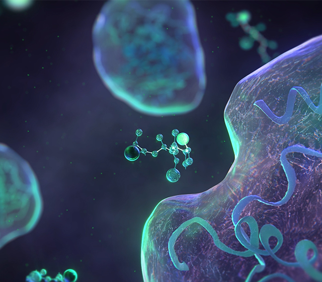 MMP assays – activity measurement | Eurogentec