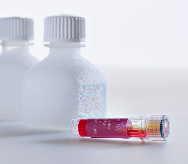 Endpoint PCR – PCR and qPCR | Eurogentec