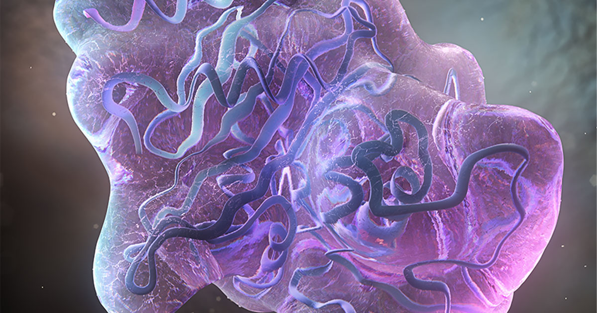 Fluorescent Dyes | Eurogentec