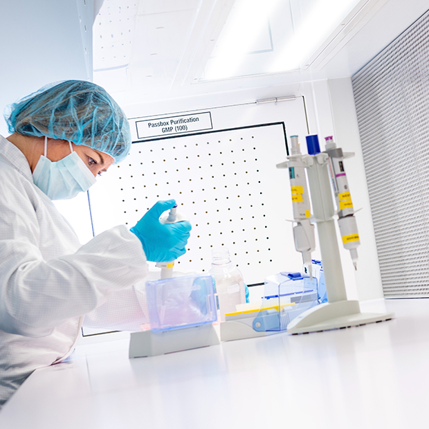 Black Hole Quenchers® | BHQ® 1/2/3 Patent free | For All Applications