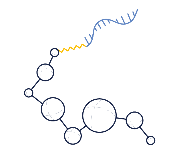 Peptide-oligo conjugates – Custom Synthesis | Eurogentec Peptide-oligo conjugates – Custom Synthesis | Eurogentec