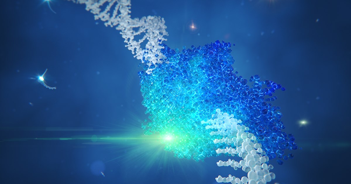 Optical caps and seals| Eurogentec