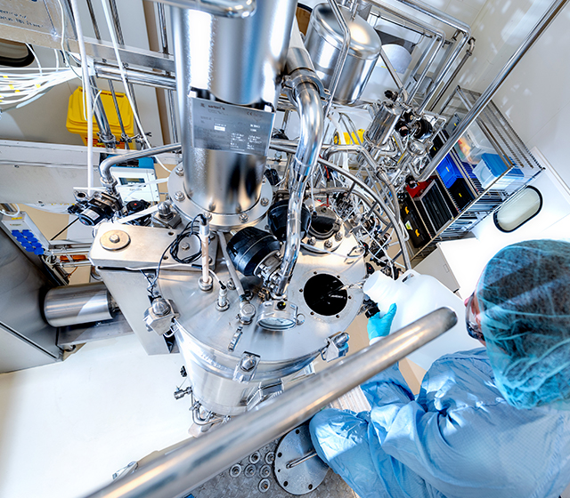 GMP Recombinant Protein Manufacturing – Various expression systems ...