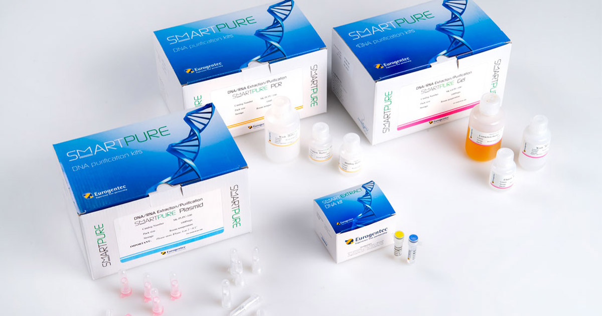 Catalog oligo and oligo synthesis reagents | Eurogentec