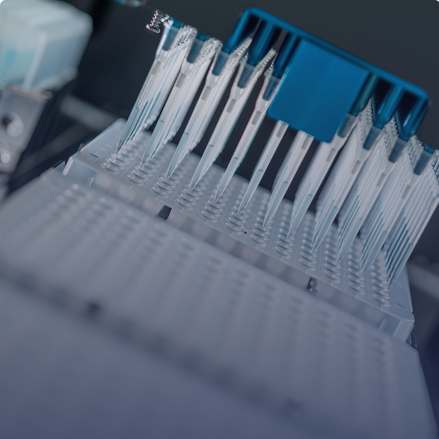 Discovery offer | Takyon SYBR® Blue Master Mix | Eurogentec