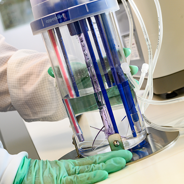 GMP BioManufacturing – Plasmid DNA – Proteins – Conjugates | Eurogentec