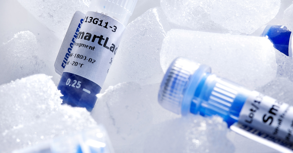 Molecular Weight ladders – Nucelic Acid Markers |Eurogentec