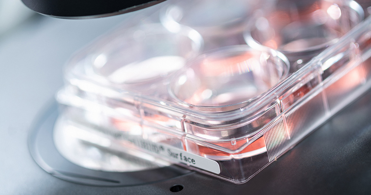 Oligo design – free design assistance | Eurogentec