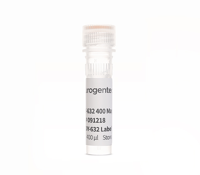 Molecular Weight ladders – Nucelic Acid Markers |Eurogentec