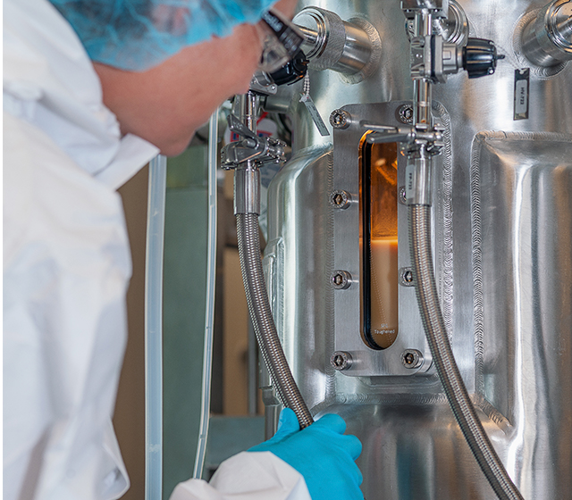 GMP Manufacturing of plasmid, proteins, oligonucleotides and mRNA