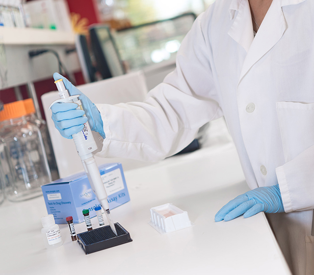 MMP assays – activity measurement | Eurogentec