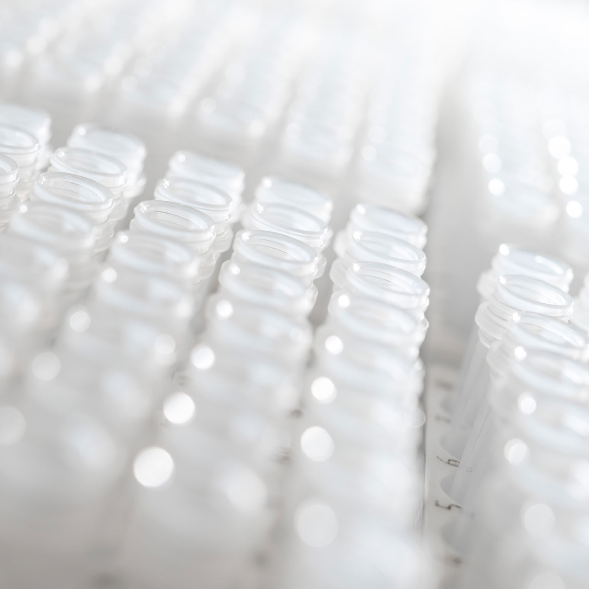 Oligo aliquots in X tubes (maximum 10) – 1 aliquoting