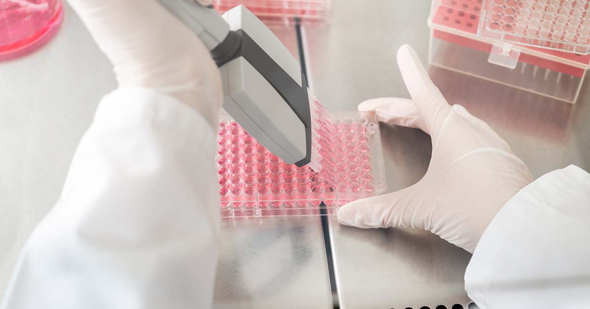 Monoclonal Antibody Manufacturing | Hybridoma Development | in vitro ...
