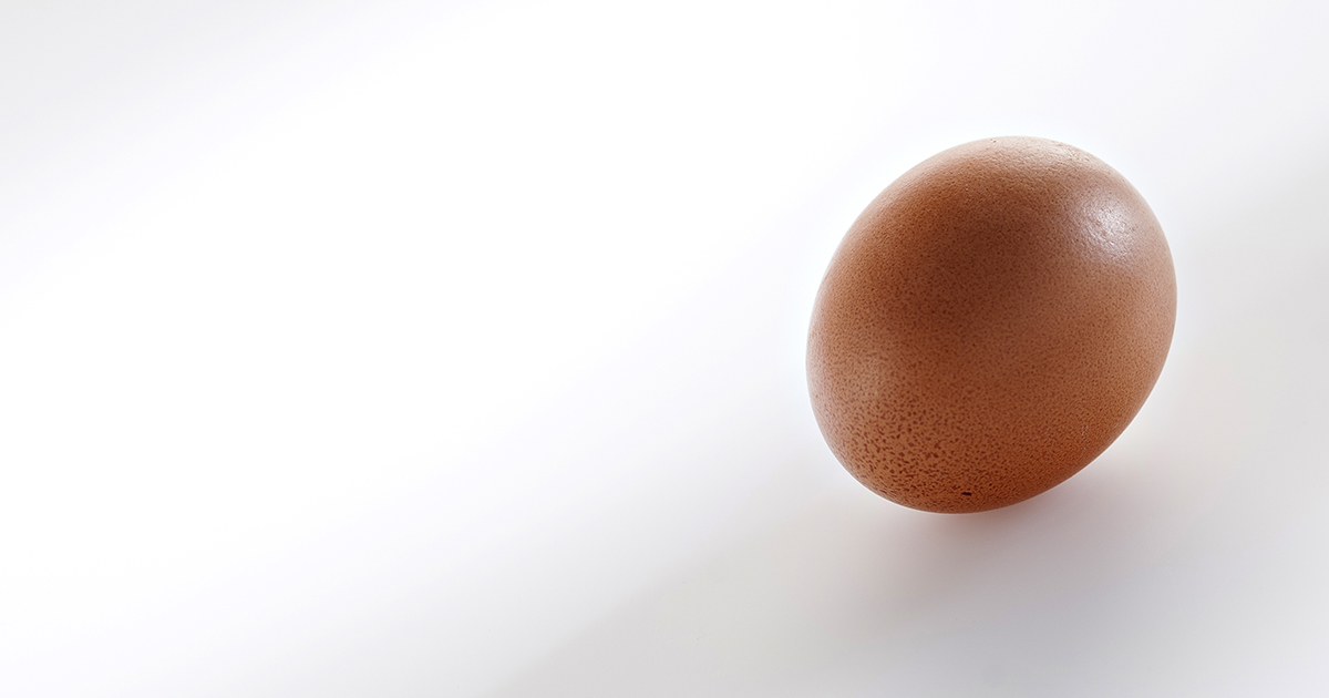 Chicken immunization – Custom antibodies | Eurogentec